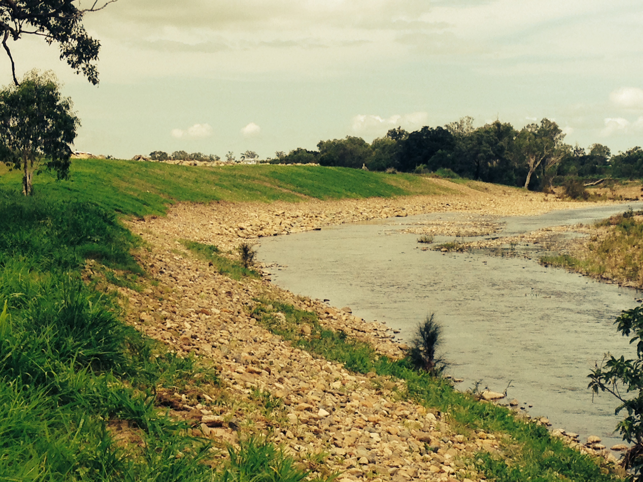 Case Study: Stabilising stream banks along the O’Connell River - Reef ...