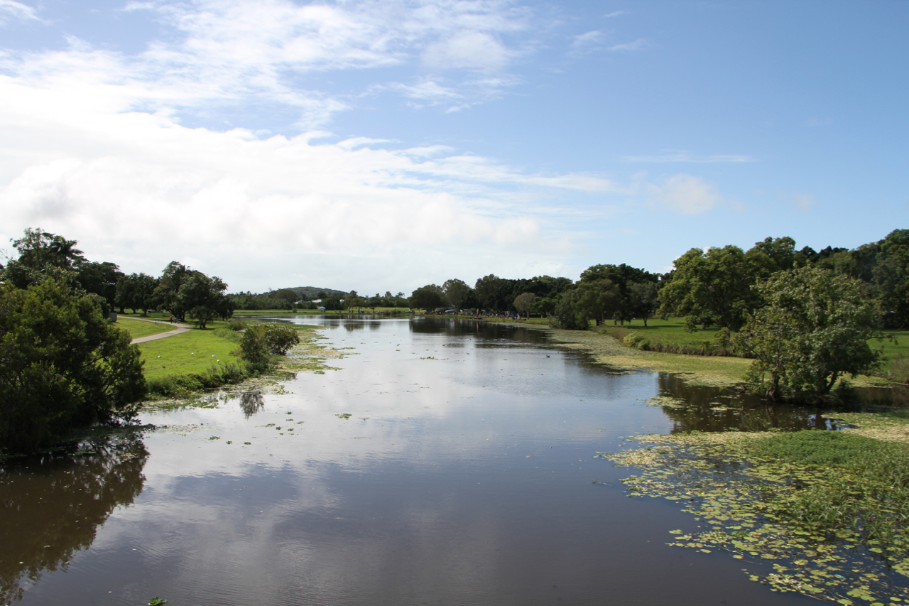 Reef Catchments 31,000 fish all in a day's work