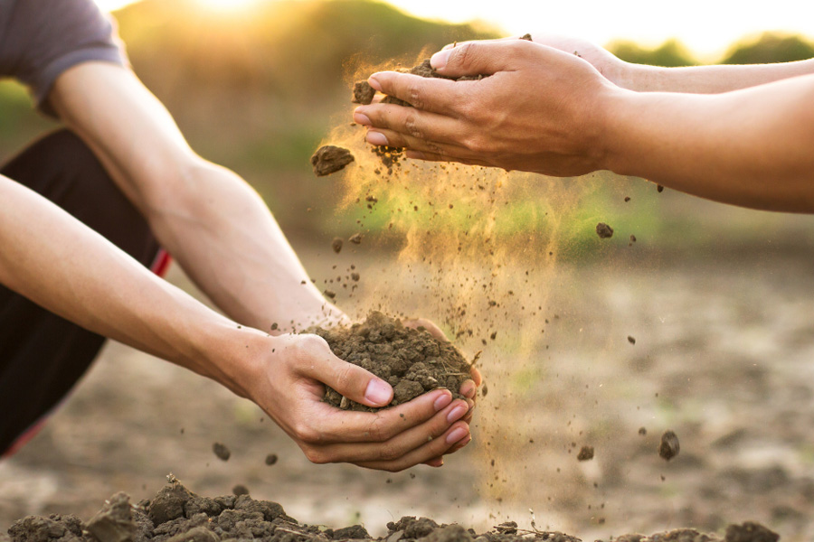 Sustainable Agriculture - Reef Catchments Sustainable Agriculture