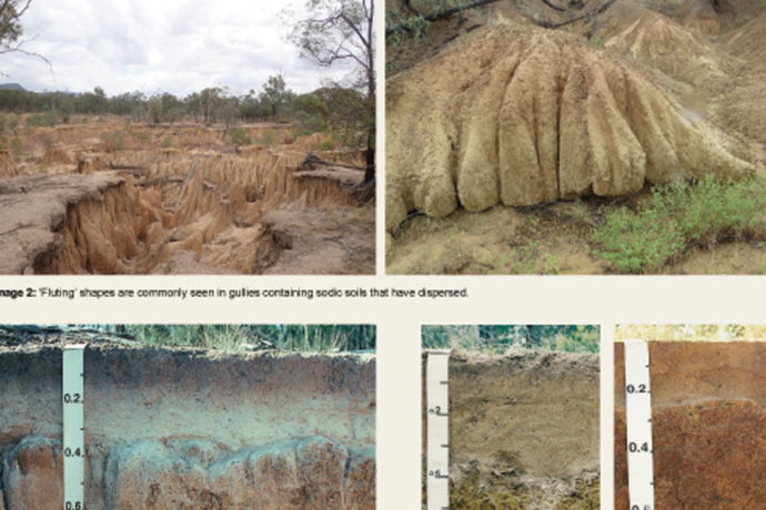 Understanding Sodic Soils - Reef Catchments