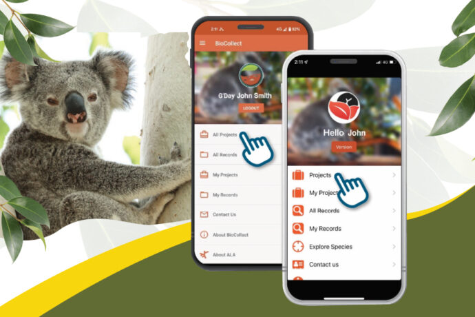BioCollect App for Koala Mapping - Reef Catchments