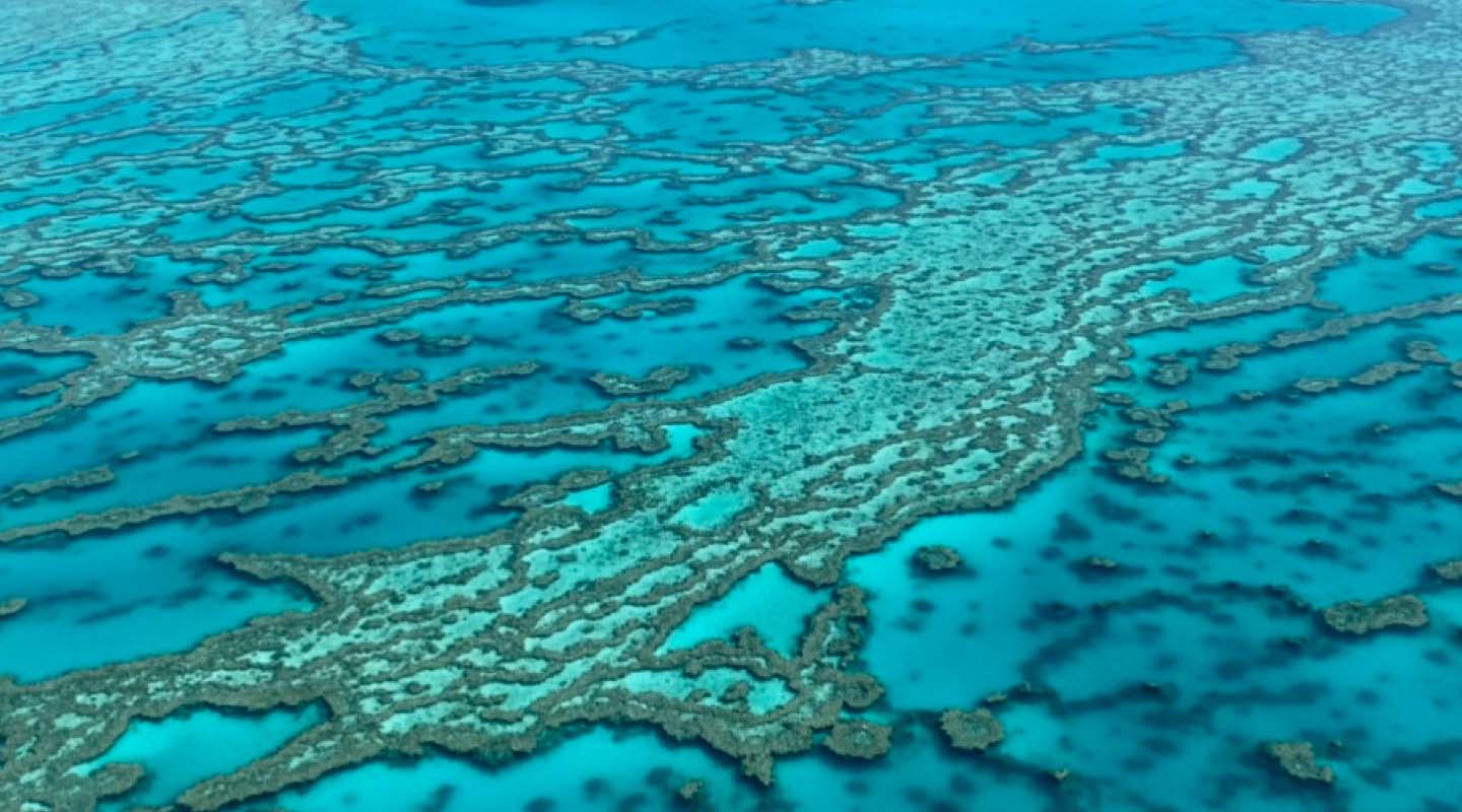 Reef Water Quality Report Card 2021 and 2022 - Reef Catchments